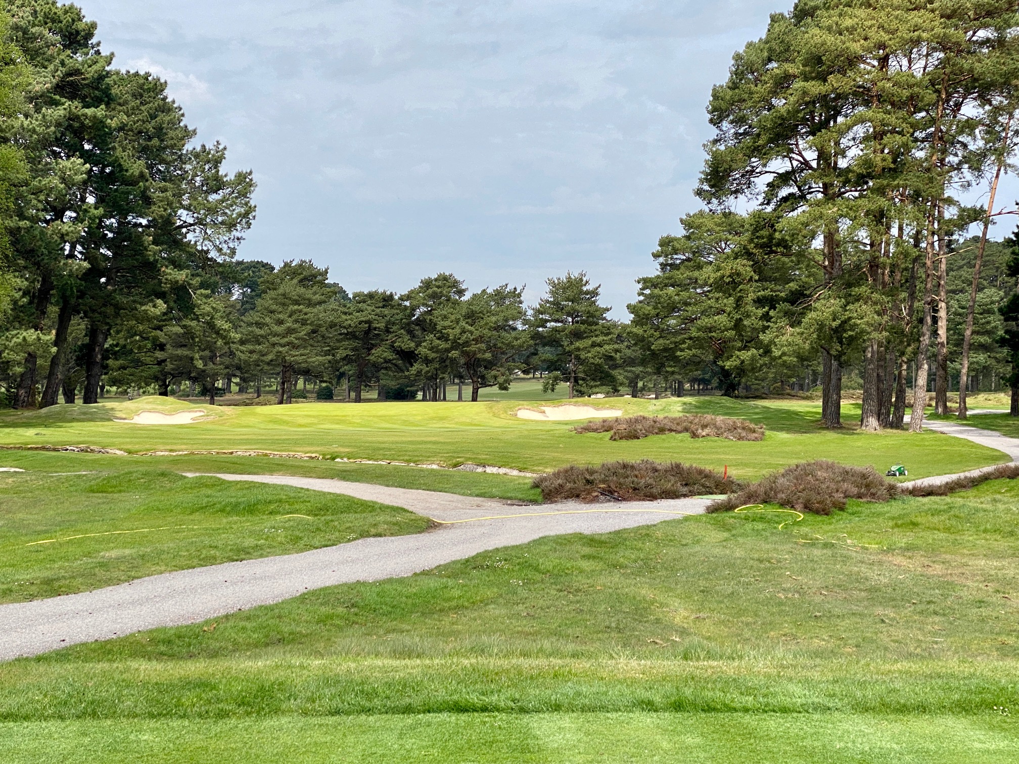 Ferndown Golf Club making further improvements :: Ferndown Golf Club