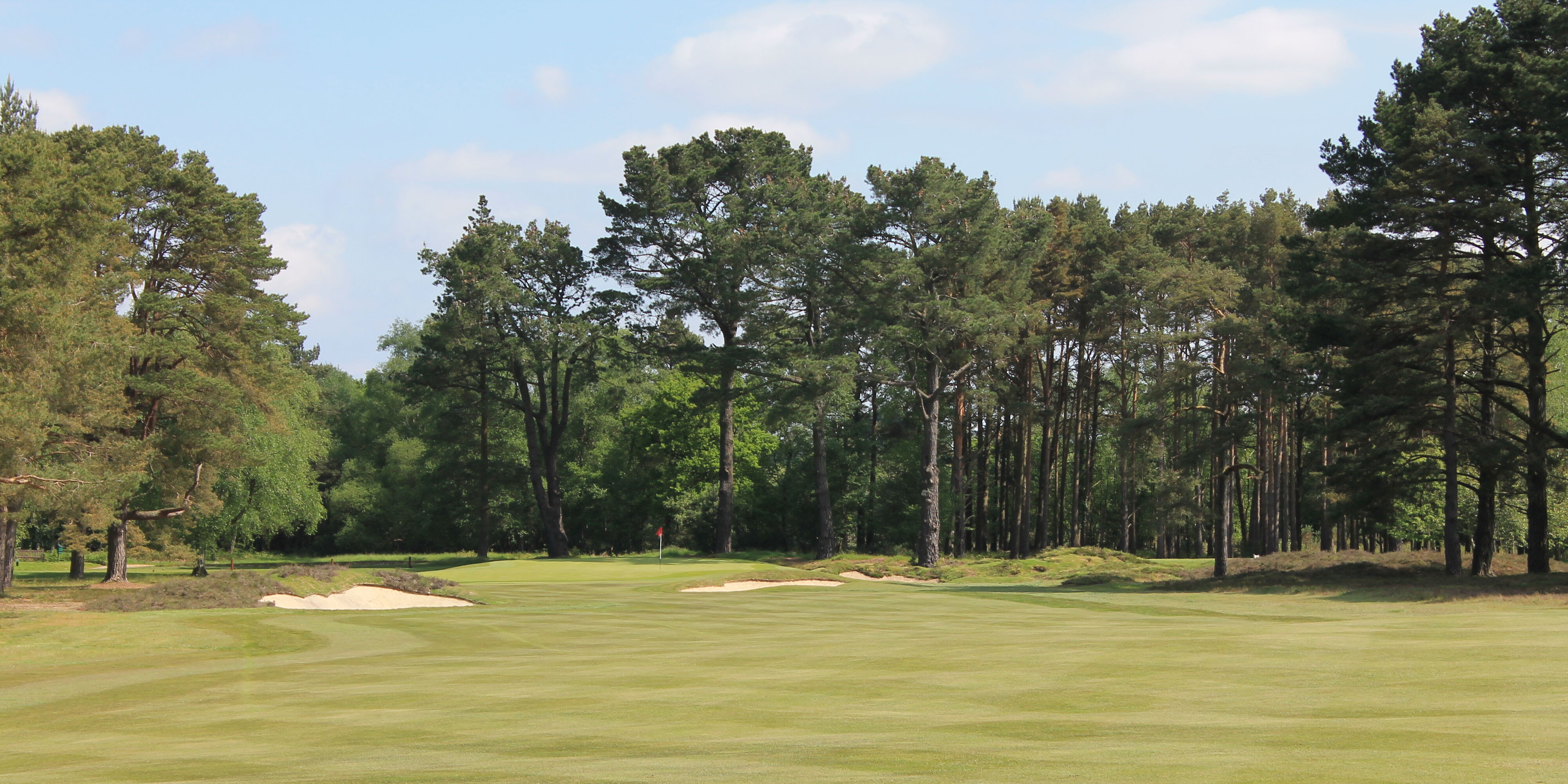 What's new on Ferndown's Championship Course? :: Ferndown Golf Club