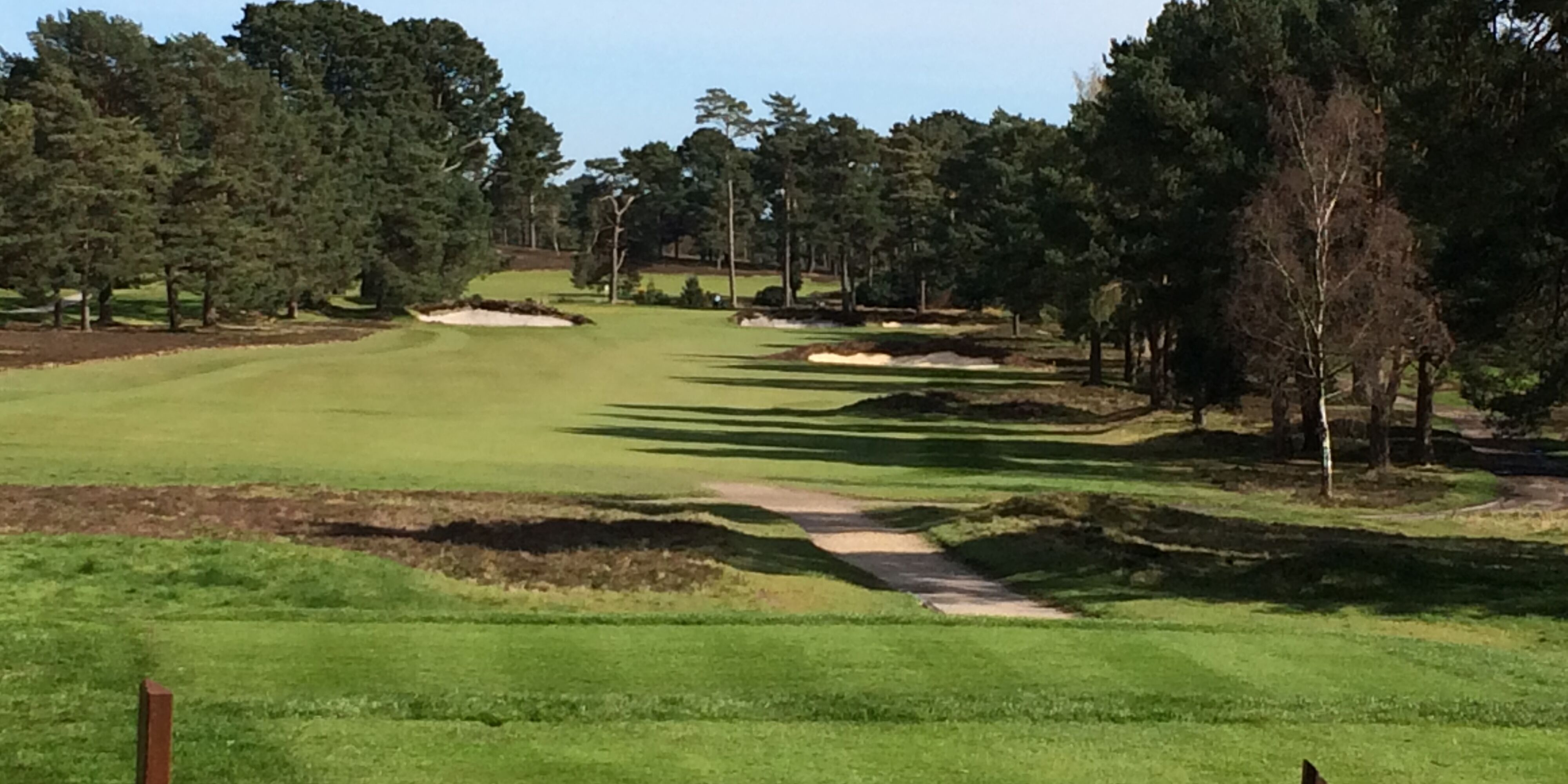 What's new on Ferndown's Championship Course? :: Ferndown Golf Club